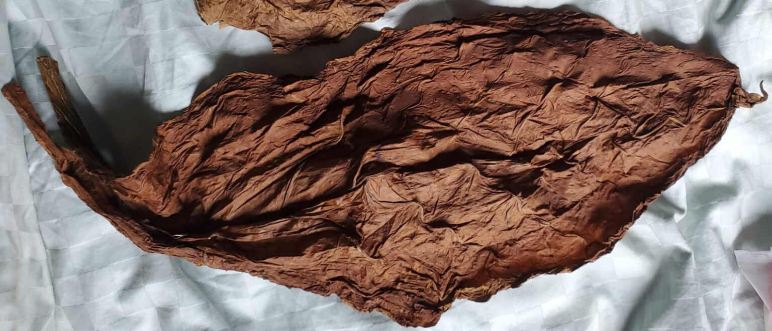 Original Grabba Whole Leaf Single Pack